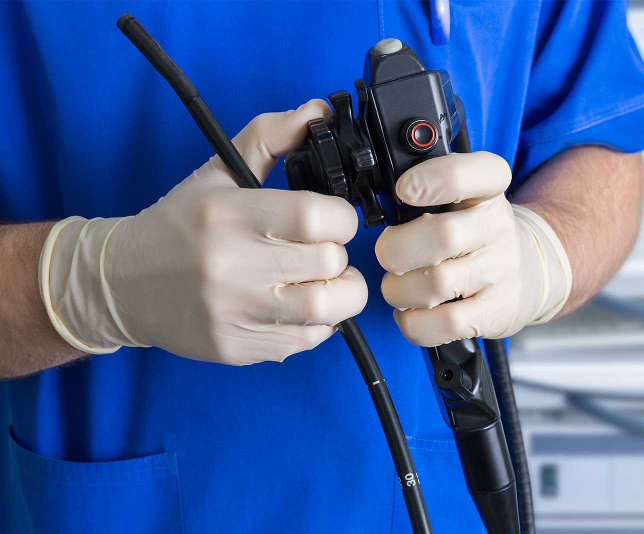 Endoscopy | Vet in Port Charlotte FL