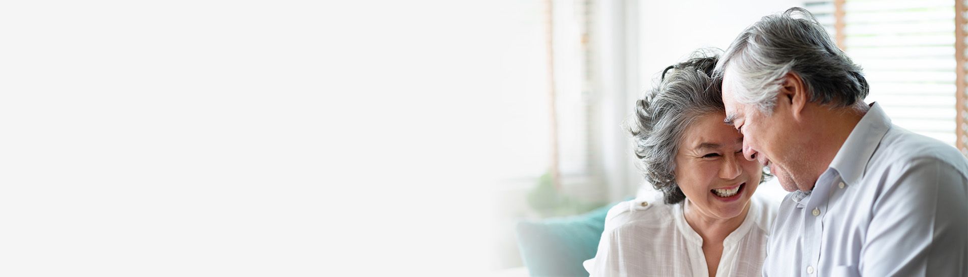Meet The Team At Paglia Family Dental in Marlborough | Dentals in ...