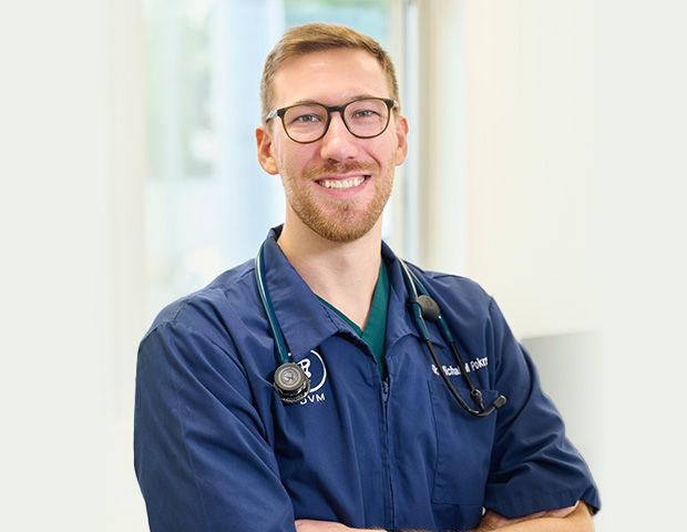 Meet Our Doctors | Pet Hospitals of Hawaii