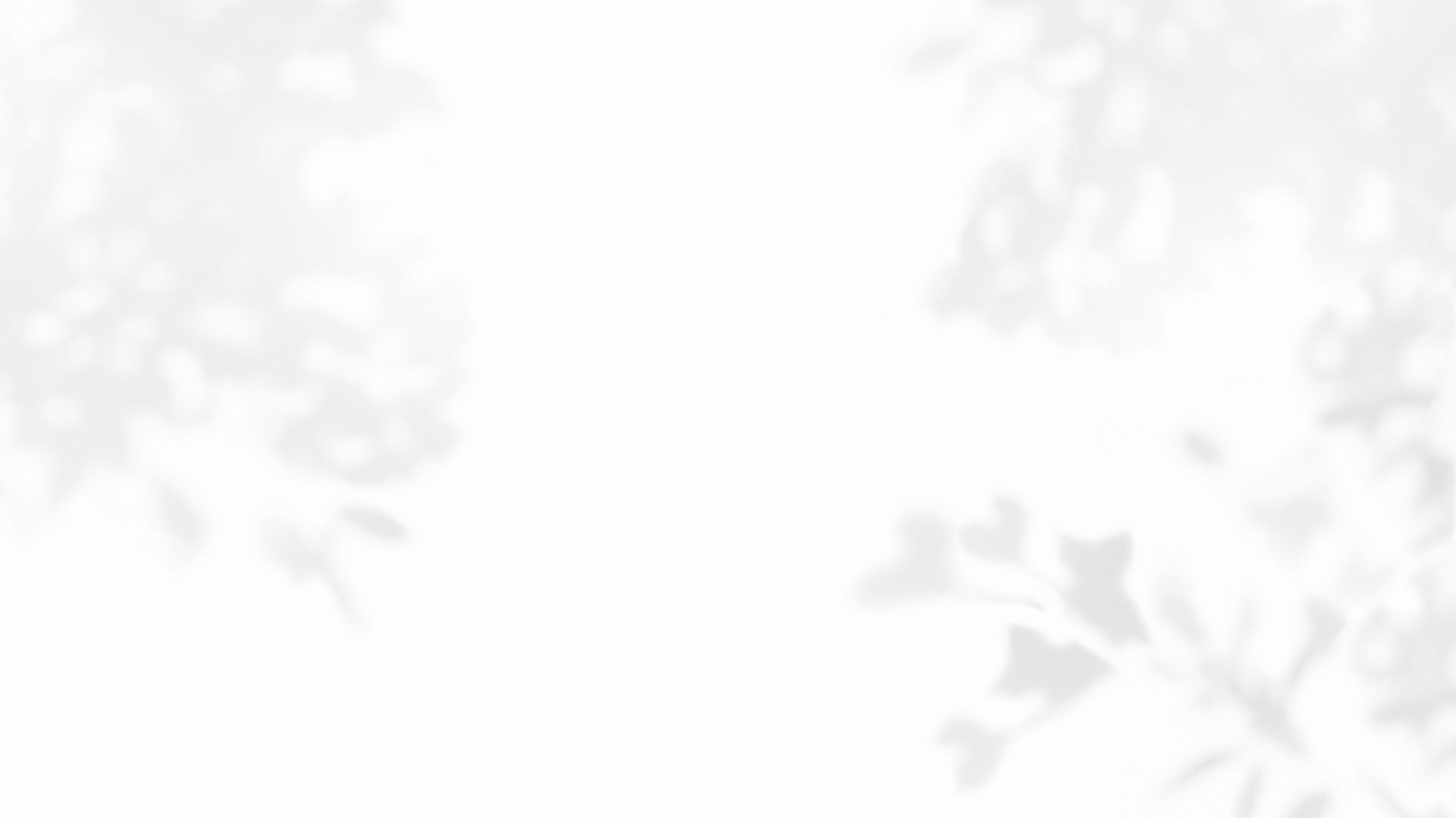 Optometrist in San Tan Valley | Pecan Creek Eyecare