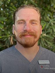 Our Staff Foothills Animal Hospital Emergency and Specialty Center