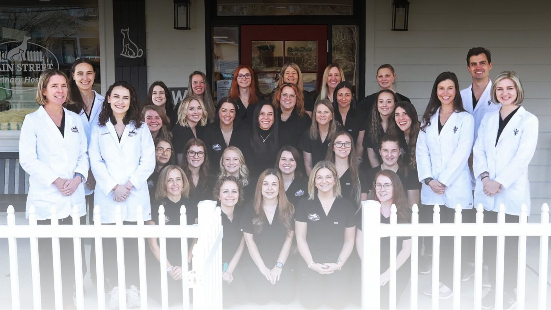 Veterinarians in Cornelius NC | Main Street Veterinary Hospital