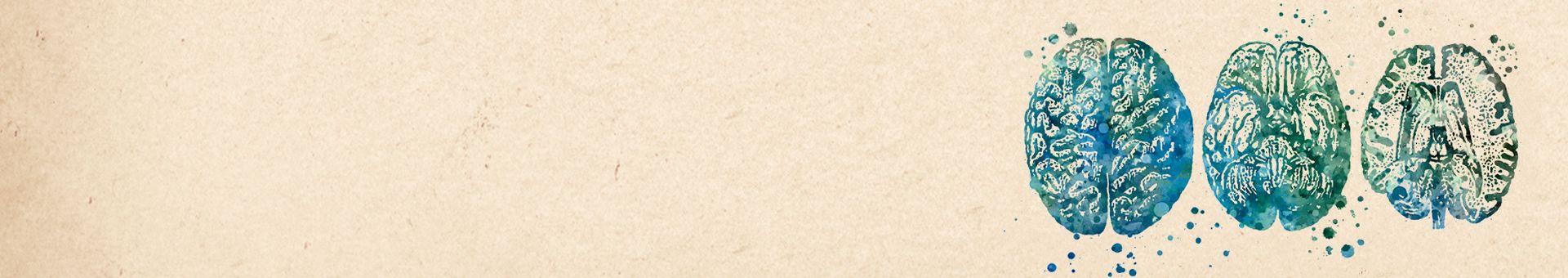 Seth Kaufman, MD | Experienced Scottsdale Neurologist