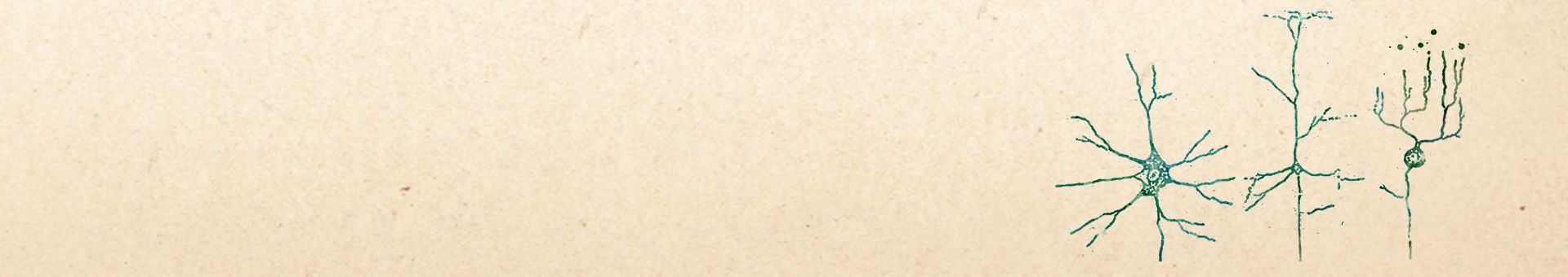 Seth Kaufman, MD | Experienced Scottsdale Neurologist