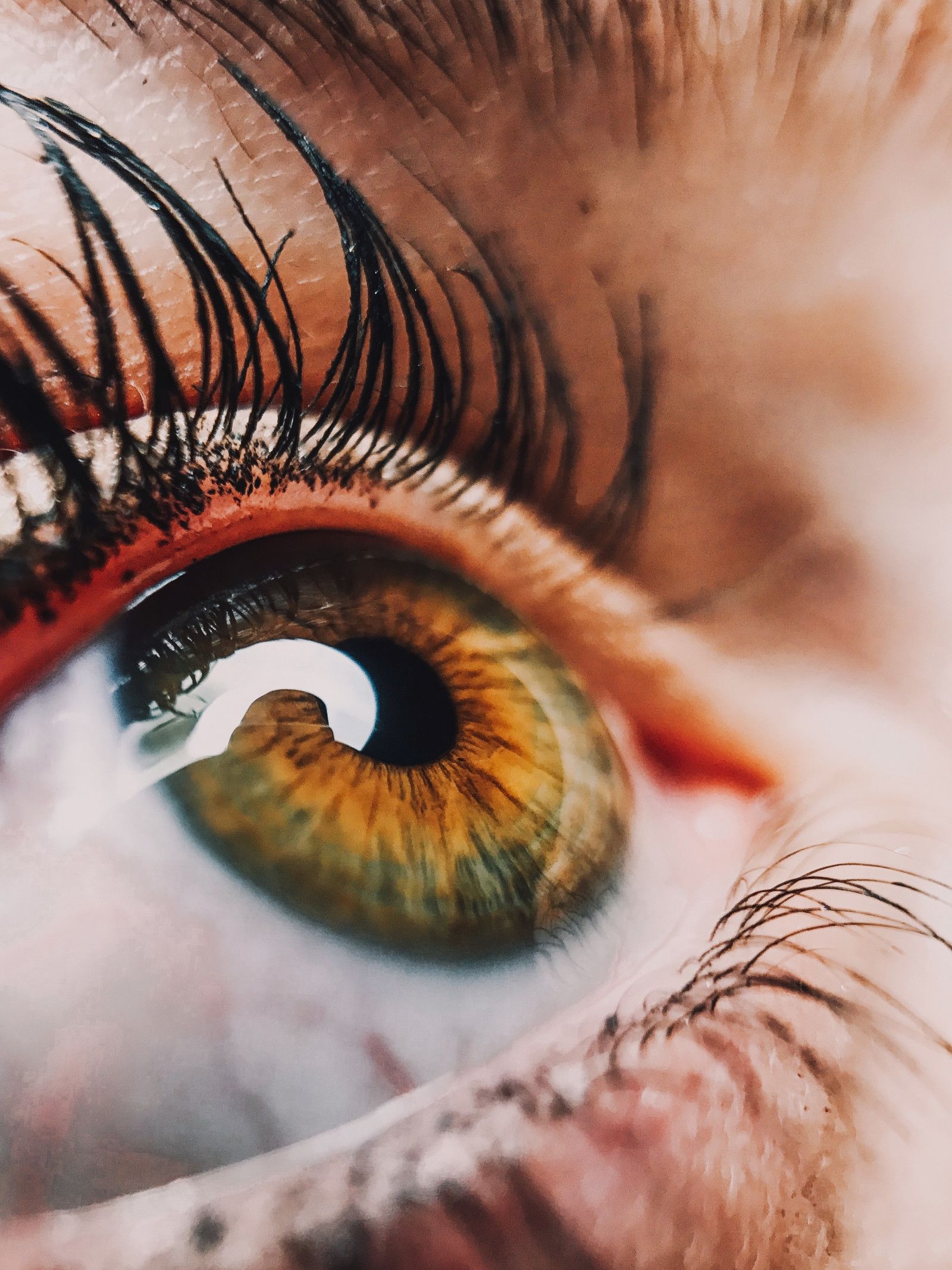 Punctal Plugs Dry Eye Specialist In Meridian ID punctal-plugs-dry-eye-specialist-in-meridian-id