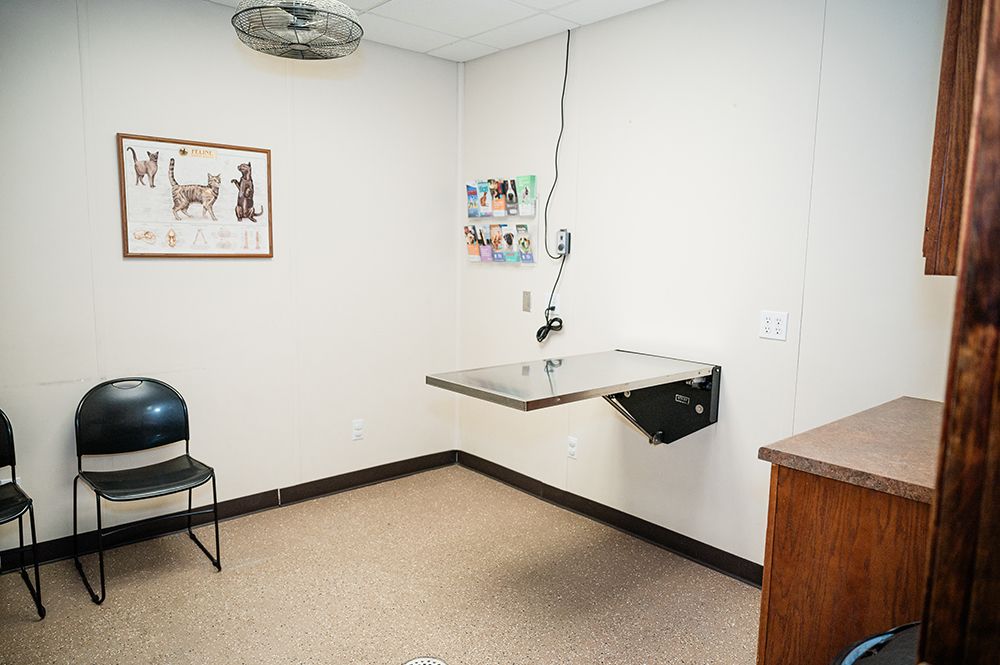 Virtual Tour - Auburn Animal Hospital | Auburn Veterinary Service