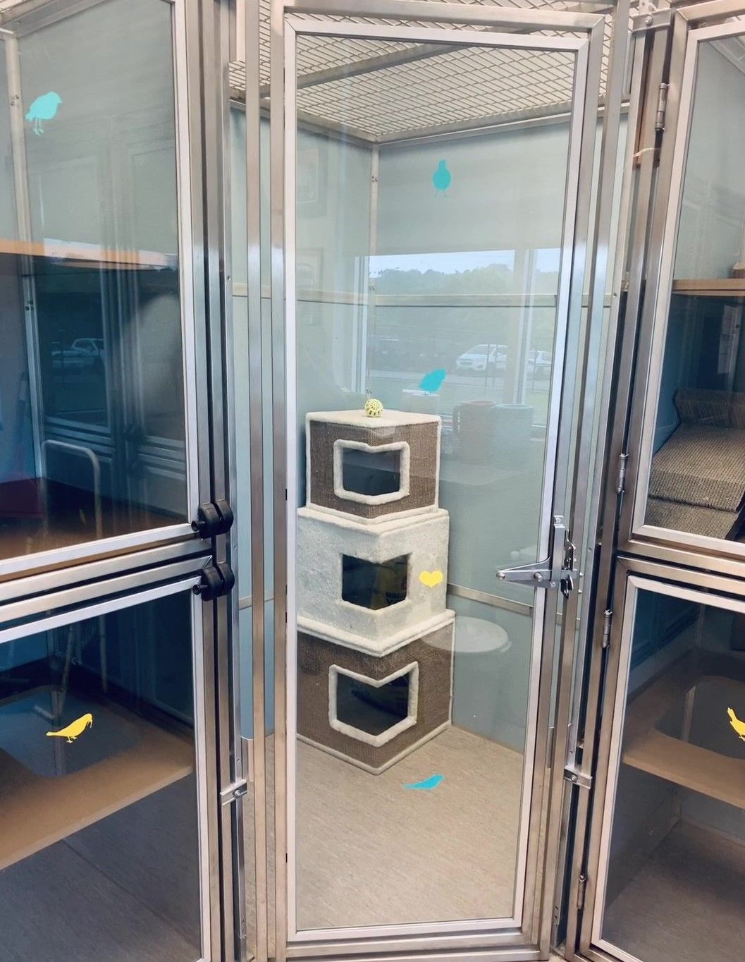 Pet Boarding Services in St. Charles MO