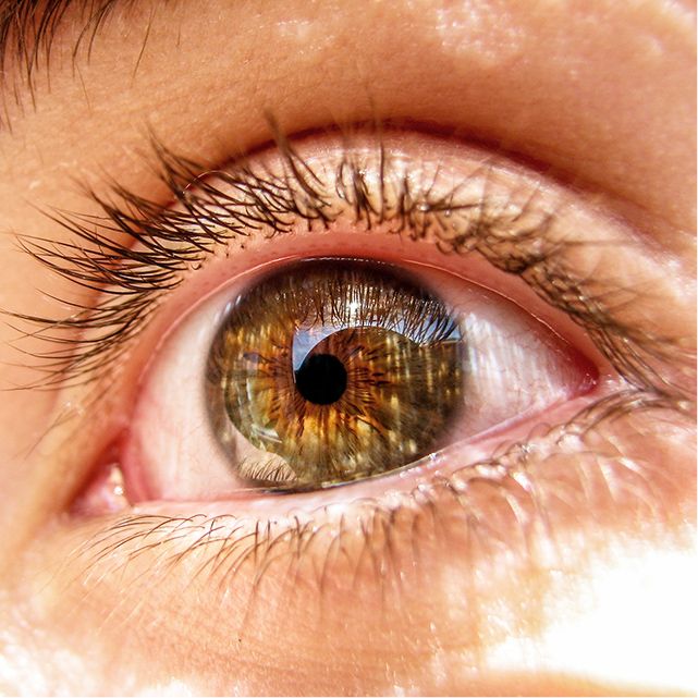 Optometrist in Boston | Forefront Eye Care