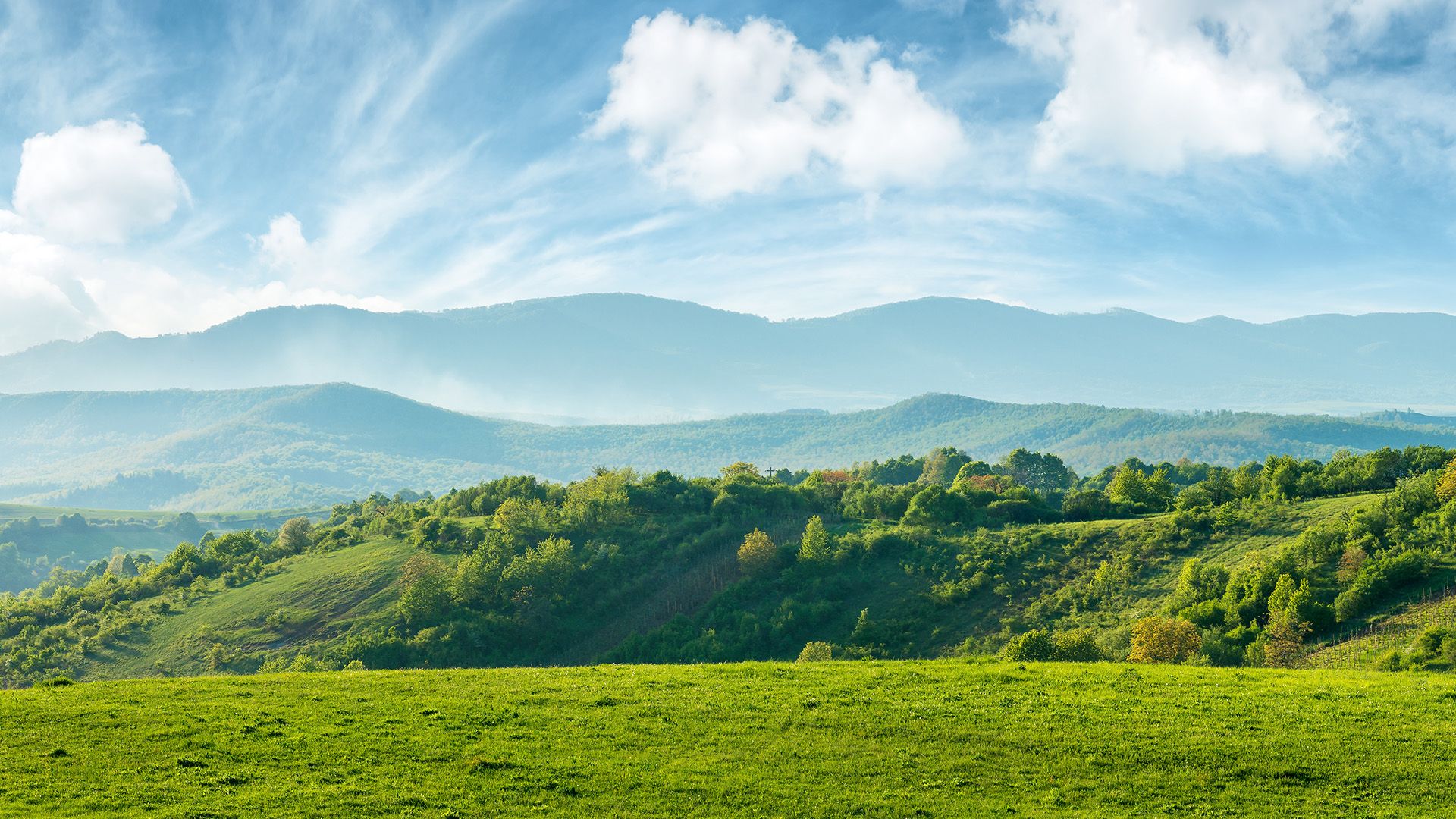 Optometrist in Ukiah | Park Optometry