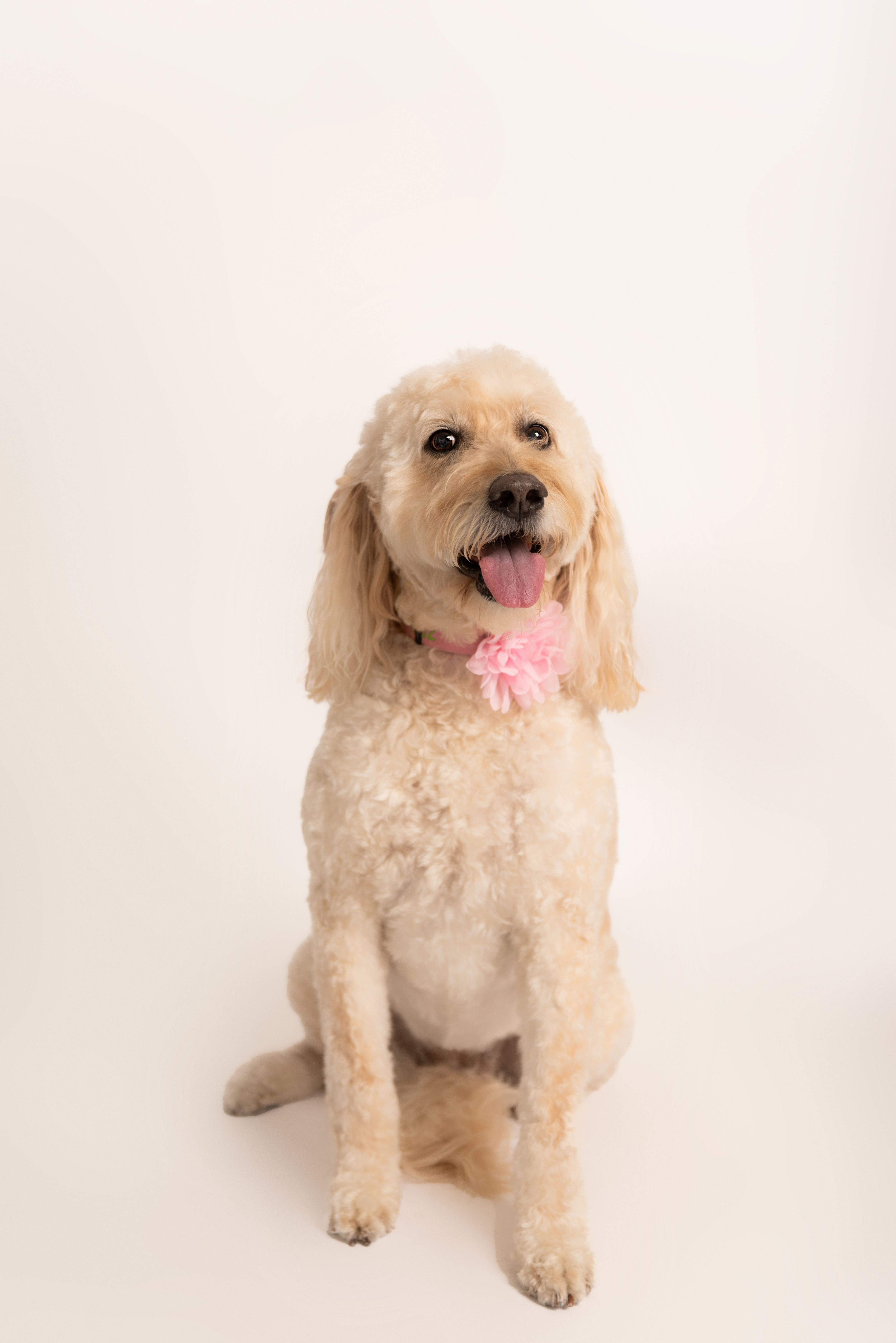 Meet The Doctor At Okaloosa Ophthalmology in Crestview | Ophthalmologys ...