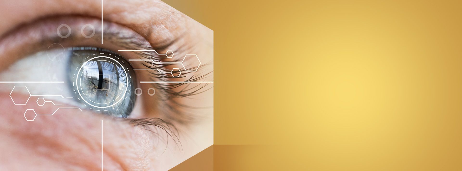 Optometrist in Bedminster | Hills Vision Studio