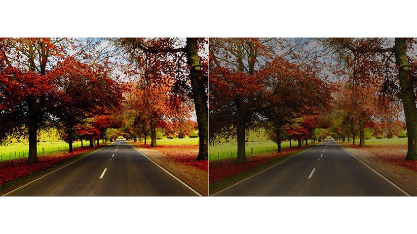 amplifEYE Lenses: Enhance Colors for Vibrant Vision | HDR for Your Eyes ...