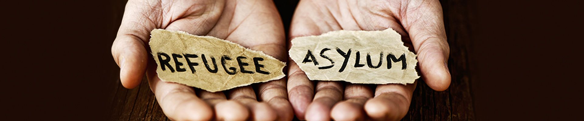 Asylum Cases | Immigrant Services