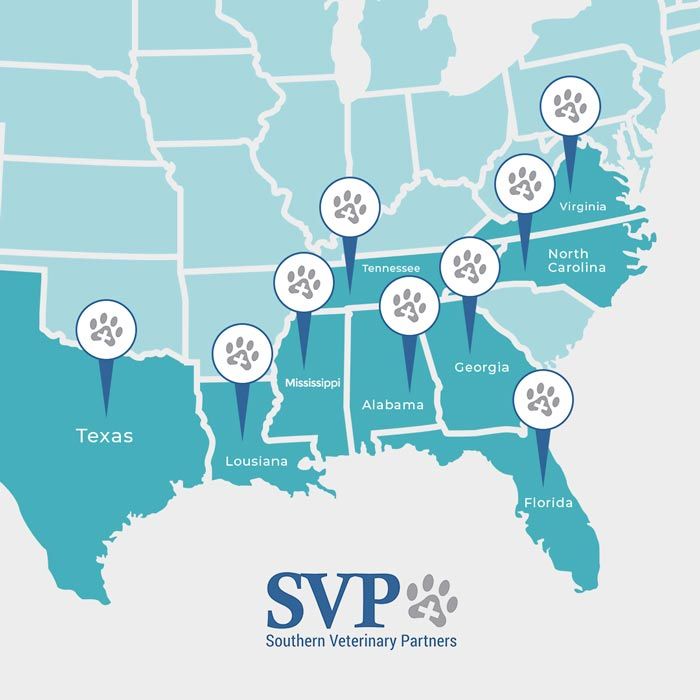 Svp veterinary - herofblind