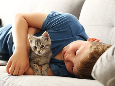 Meet Our Veterinarian in Lawrence KS | Dr. Emily Rowe