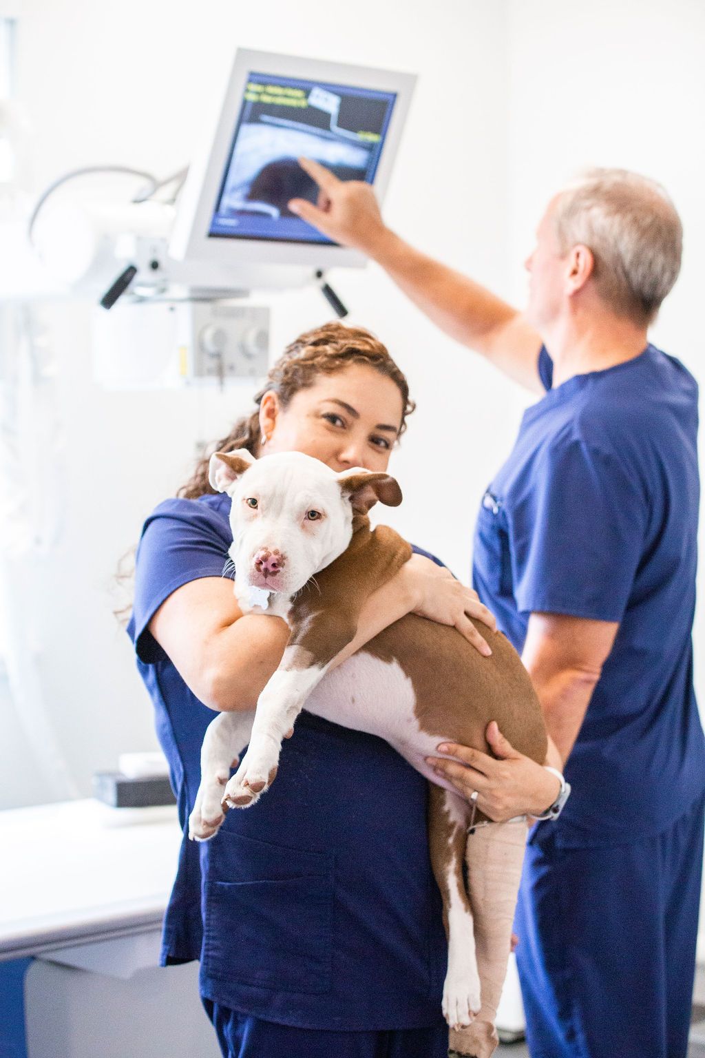Gallery Van Lue Veterinary Surgical