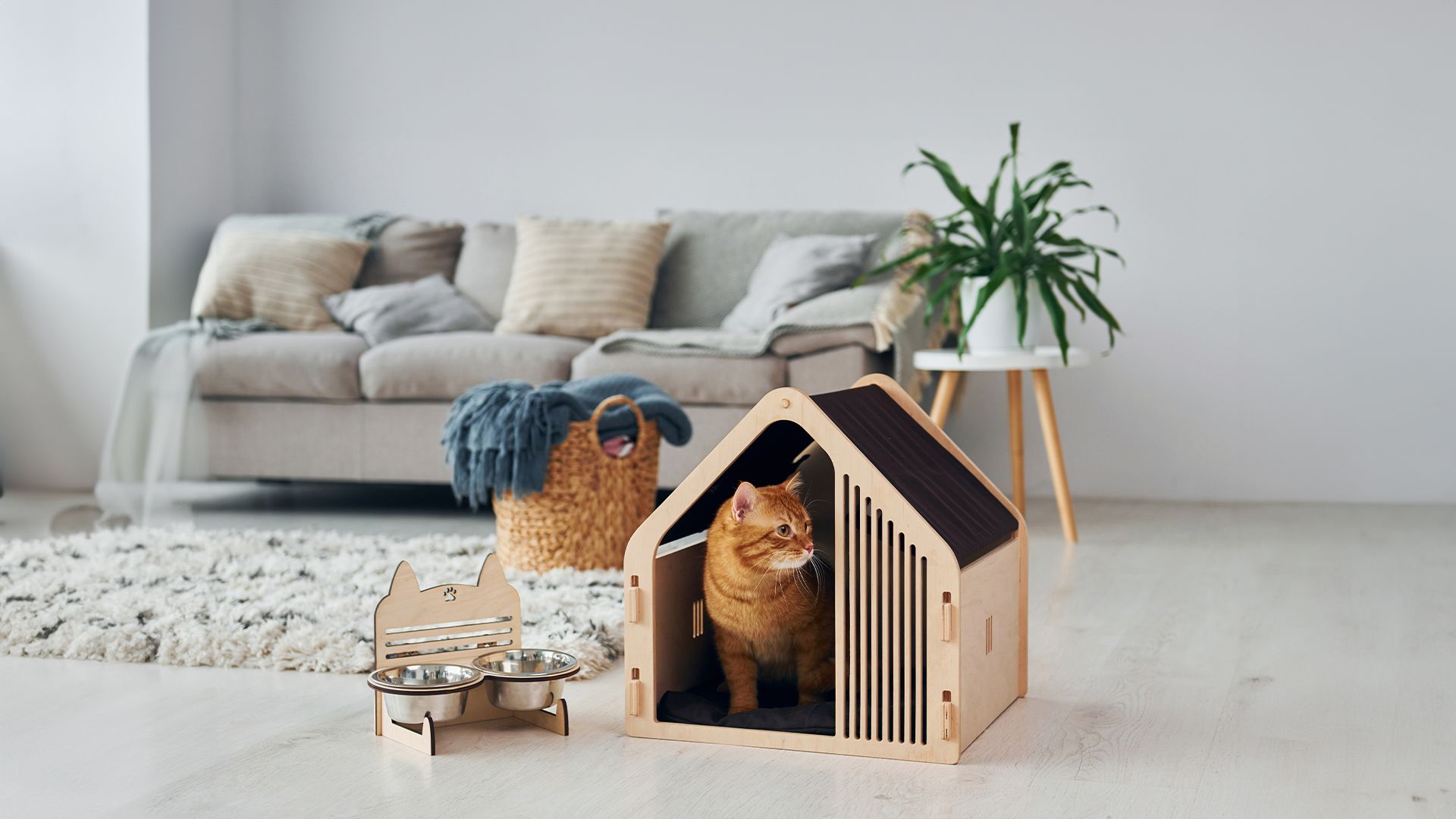 Veterinarian in Jacksonville | Merrill Animal Clinic