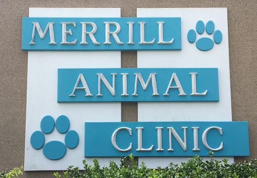 Veterinarian in Jacksonville | Merrill Animal Clinic
