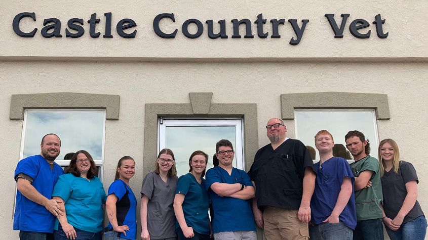 Dr. Dan Harmer | Veterinarian in Price, UT