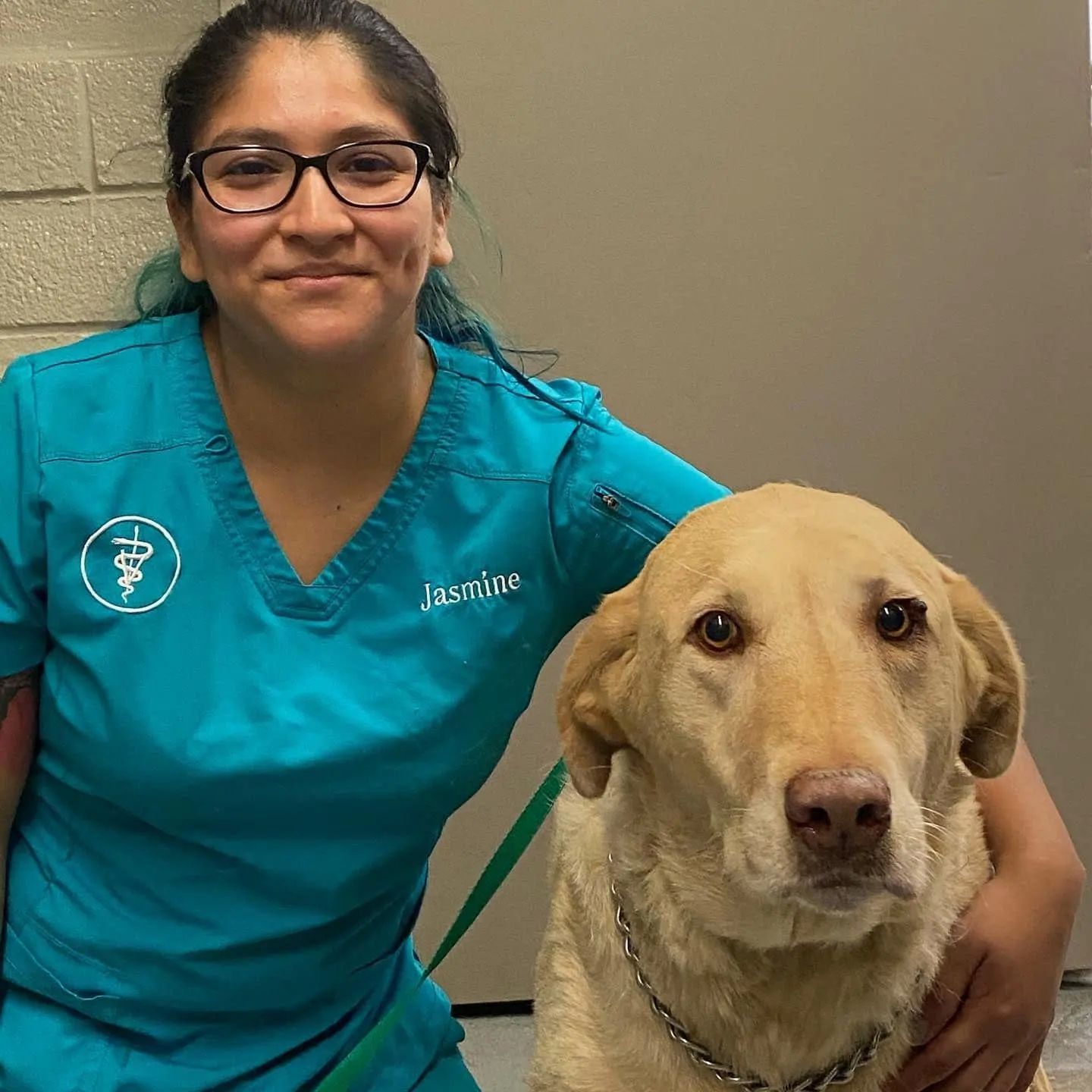 Meet The Team At Woodcrest Veterinary Clinic
