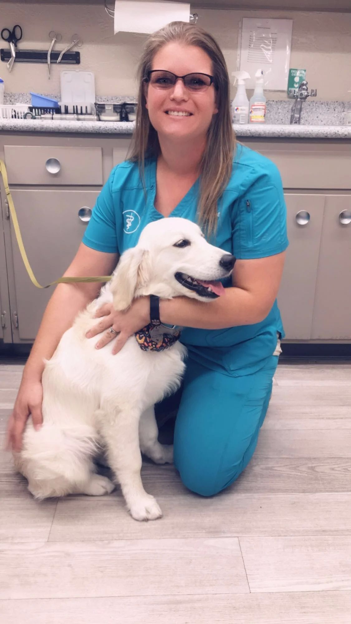 Meet The Team At Woodcrest Veterinary Clinic