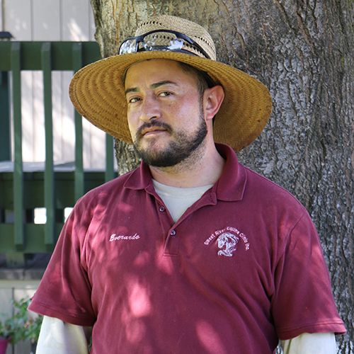 Meet Our Equine Veterinarians in Modesto CA | Dr. Daniel Sweet