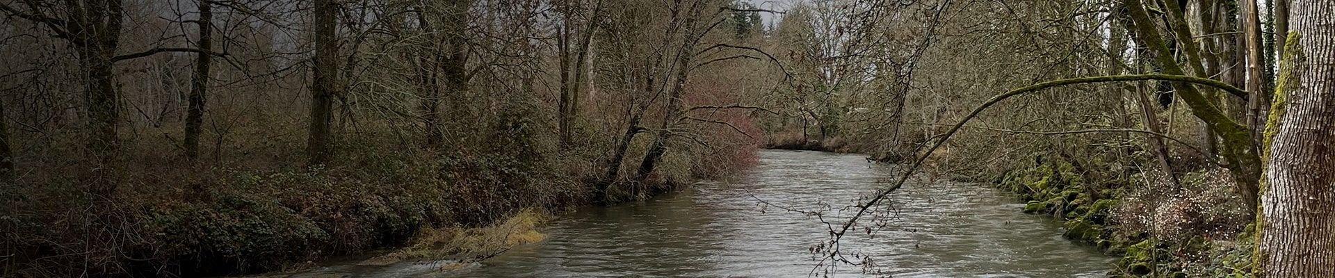 Dr. Angela Loeb & Dr. Mary Ferris | Optometrists in Chehalis, WA