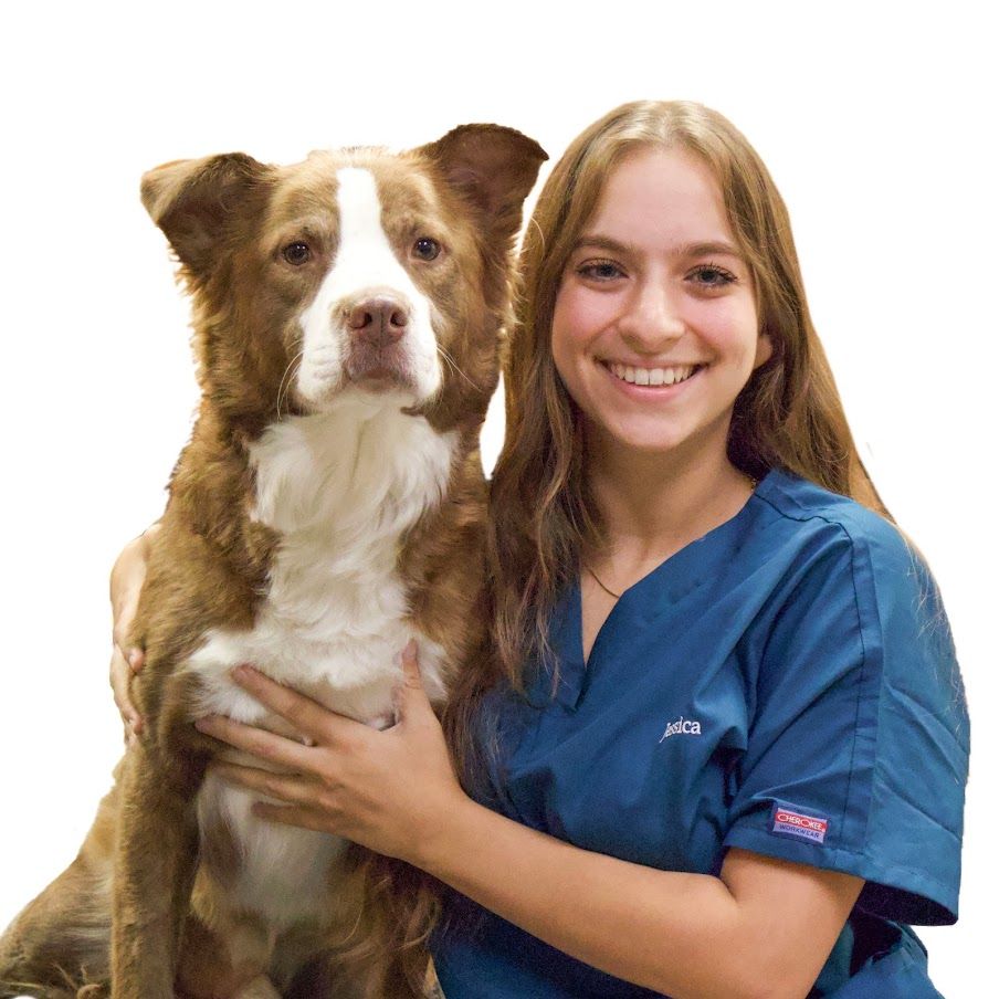 Meet Our Veterinarians in Mansfield, TX | 287 Animal Hospital