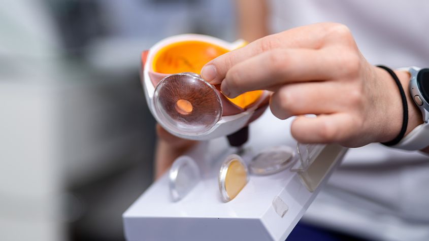 Eye Disease Management