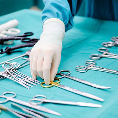 Veterinarian in Sugar Land, TX | Sugar Land Veterinary Clinic