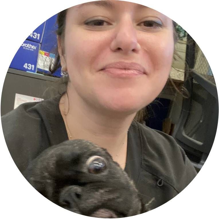 Meet The Team At Magnolia Animal Dentistry in Beaverton | Veterinarians ...