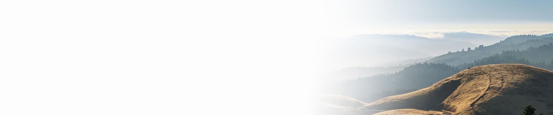 About Our Doctor | Casey Lester, MD | Psychiatry | Therapy