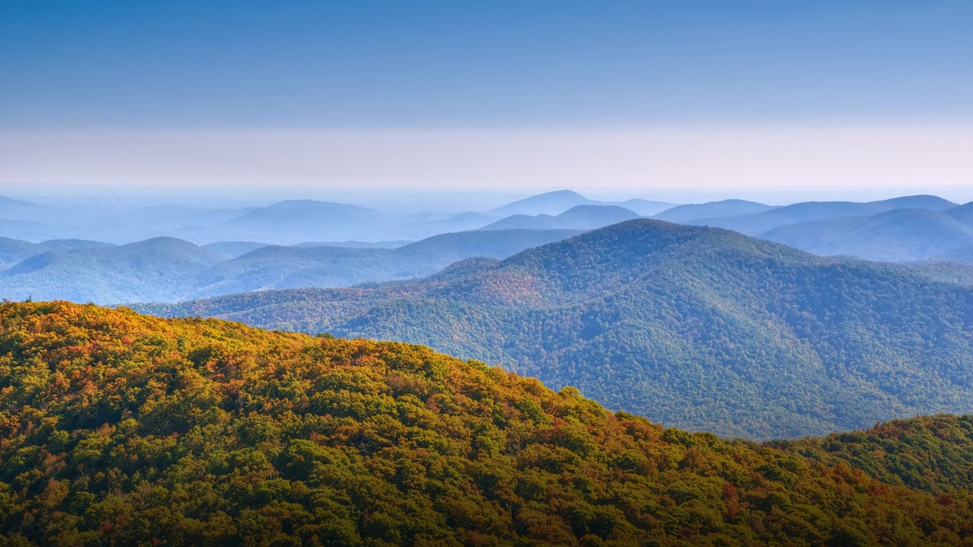 Chiropractor in Young Harris GA - Dr. Carlile | Trinity Chiropractic