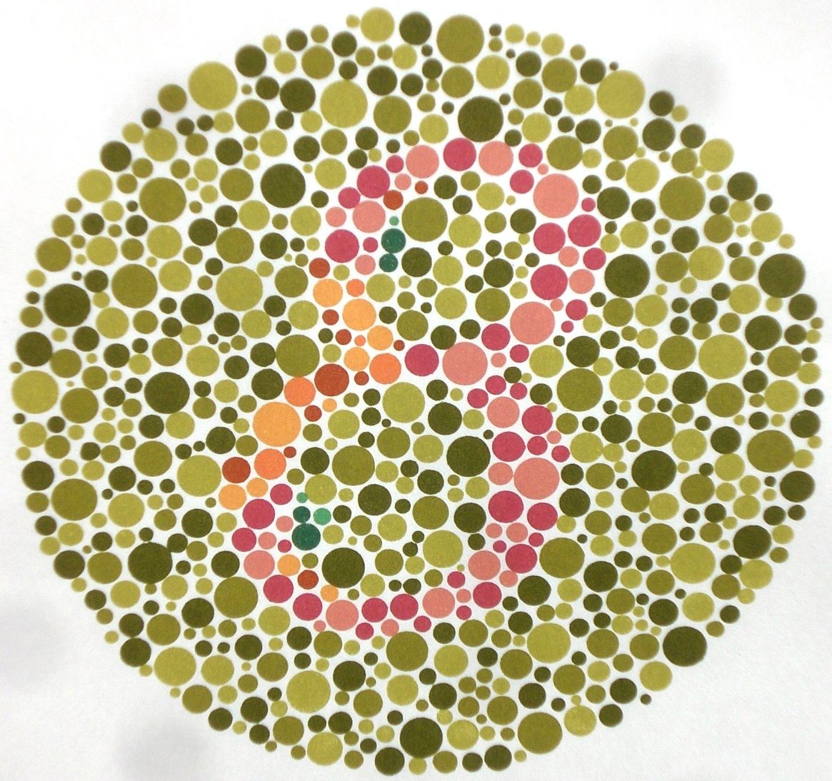 Color Deficiency Treatment in Elmhurst, IL | Skowron Eye Care