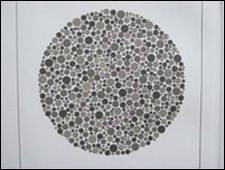 Color Deficiency Treatment in Elmhurst, IL | Skowron Eye Care