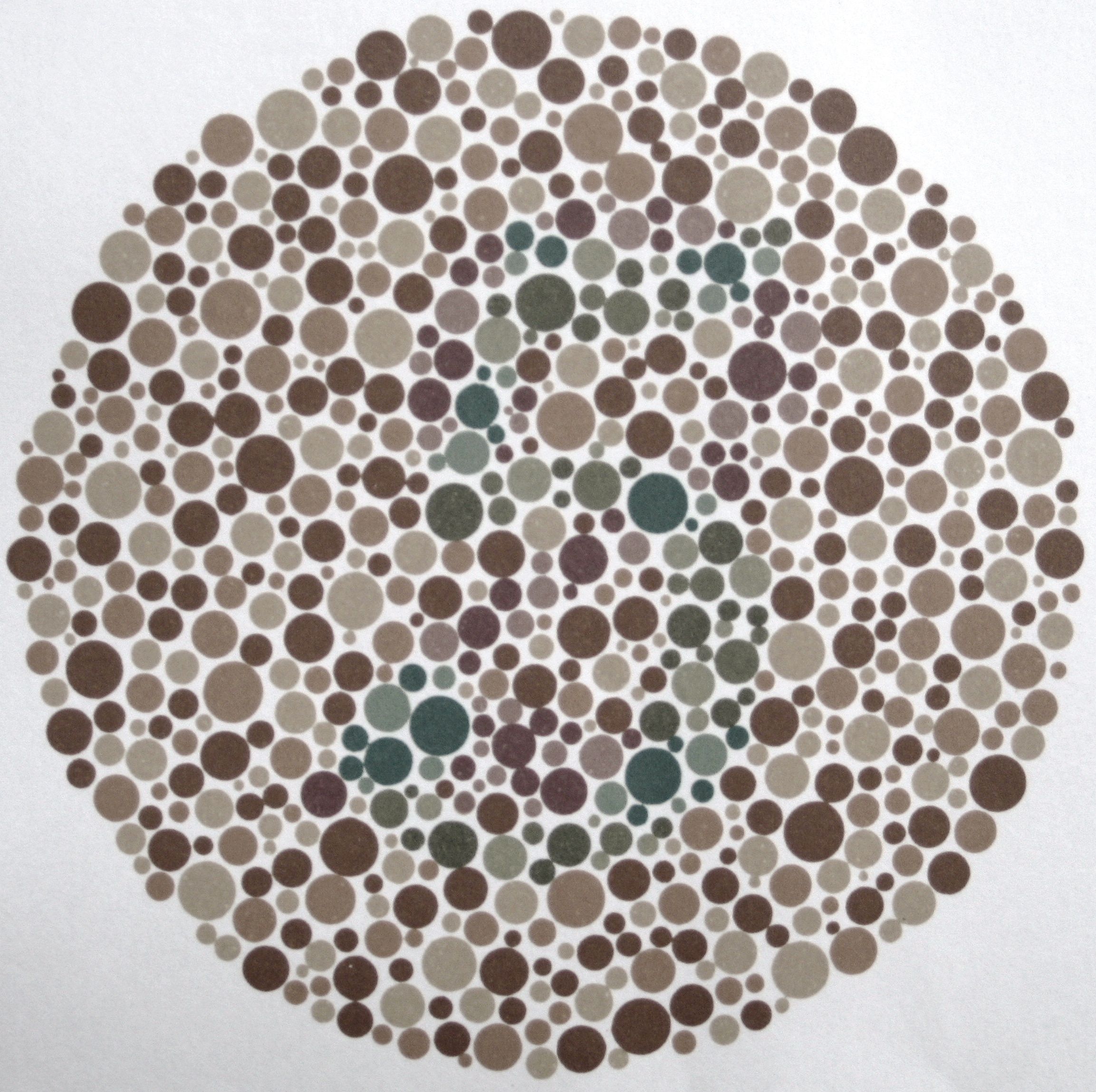 Color Deficiency Treatment in Elmhurst, IL | Skowron Eye Care