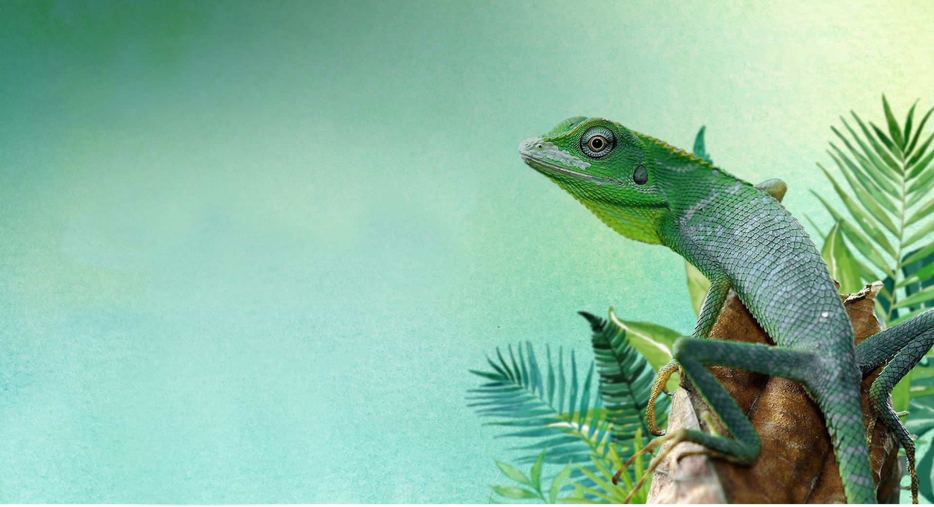 Vets in Philadelphia PA | Exotic Animal Hospital of Philadelphia