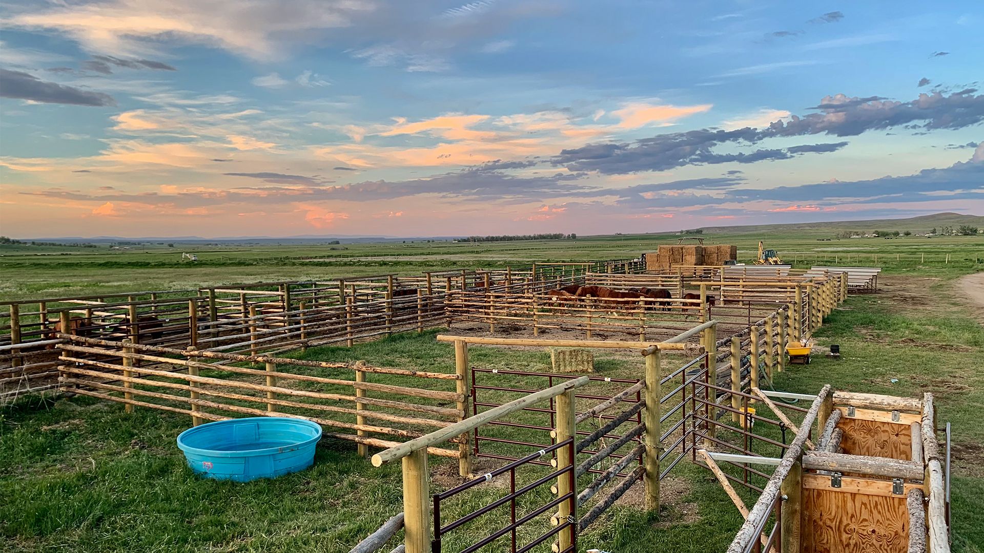 Cattle Ranch in Lander WY | The Double D Ranch