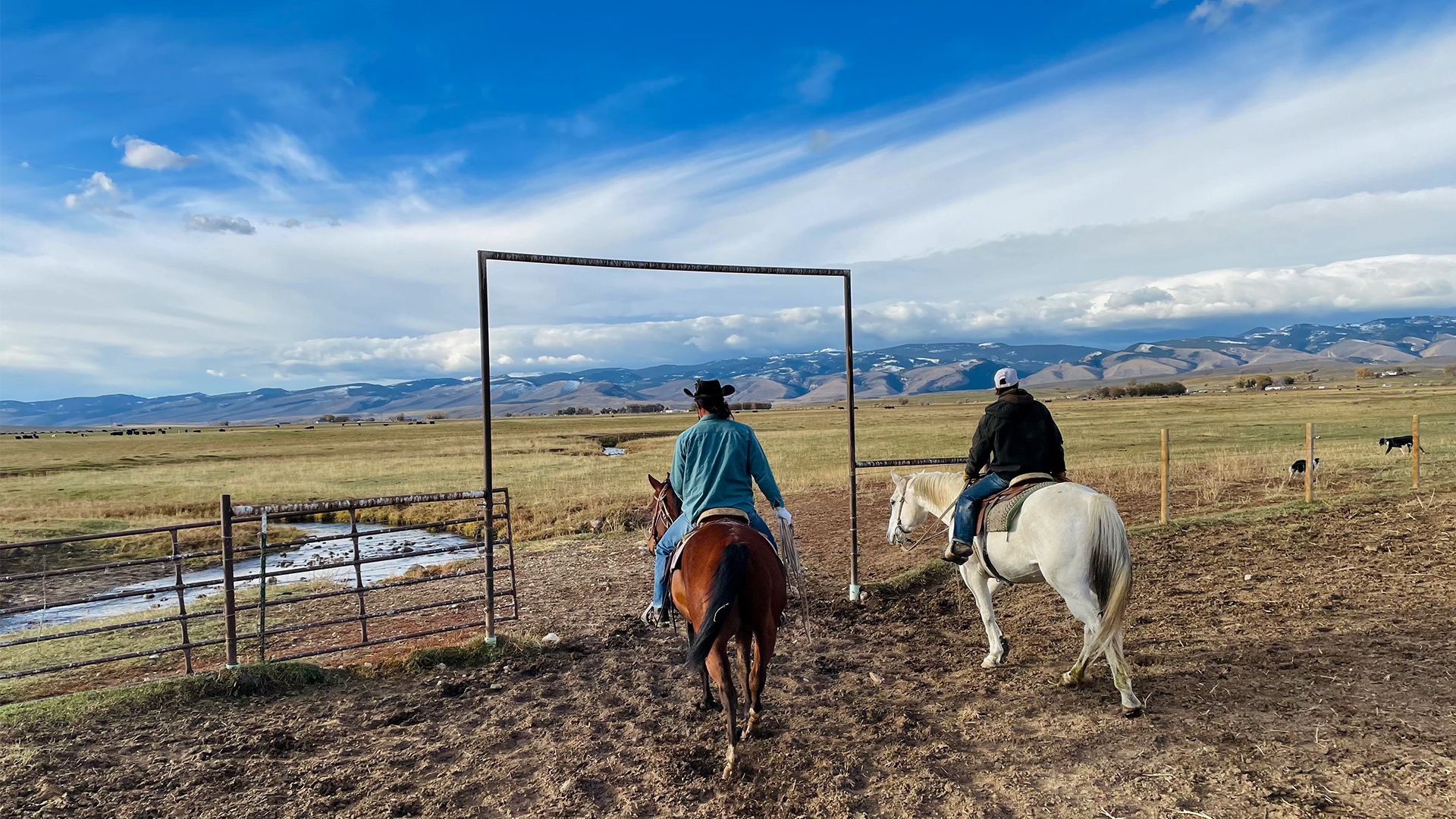 Cattle Ranch in Lander WY | The Double D Ranch