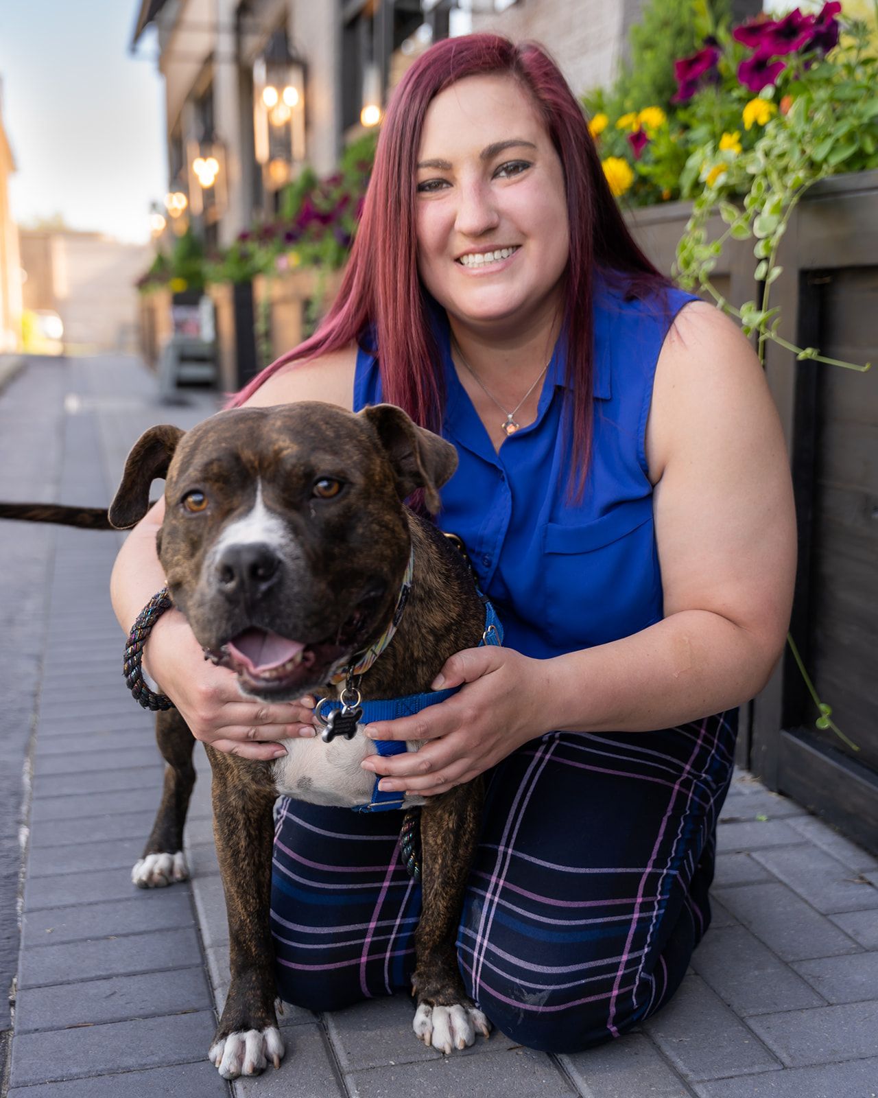 Meet Our Veterinarians in Grayslake, IL | Village Veterinary Clinic